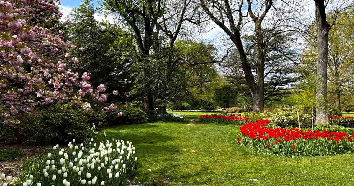 Nothing Says Spring Like A Visit To This Endless Tulip Garden In Maryland