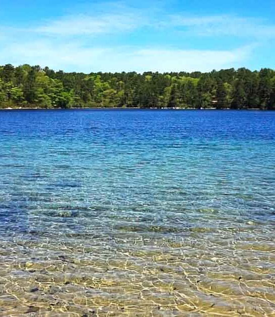 turquoise water massachusetts pond ftr