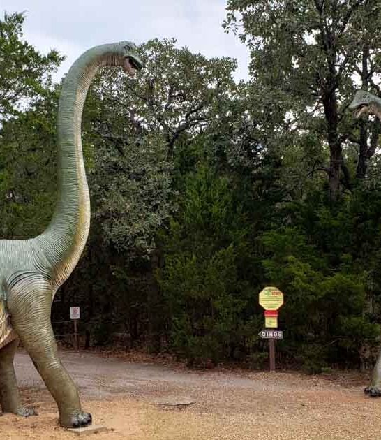 unbelievable dinosaur park texas ftr