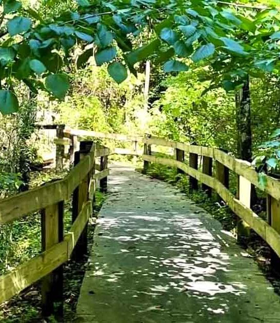 unbelievable waterfall trail florida ftr