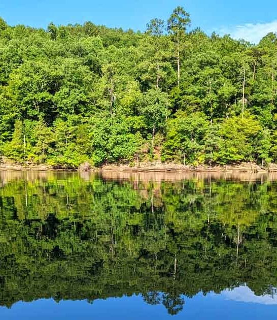 unbelievably clear lake alabama ftr