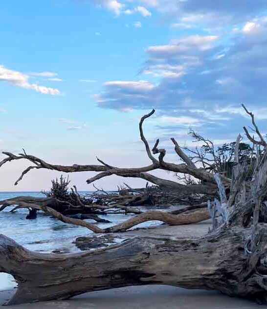 underappreciated florida state park ftr