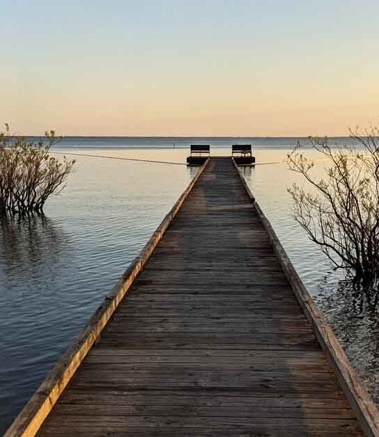 underappreciated park north carolina ftr