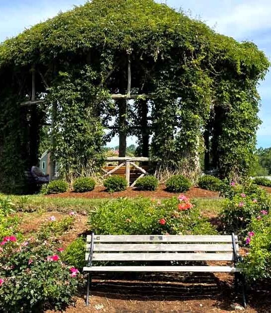 underrated connecticut garden ftr