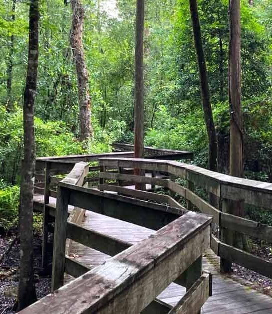 underrated florida waterfall paradise ftr