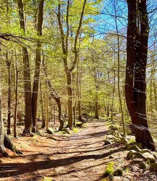 underrated massachusetts trail views ftr