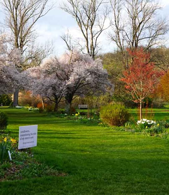 unforgettable new jersey garden ftr