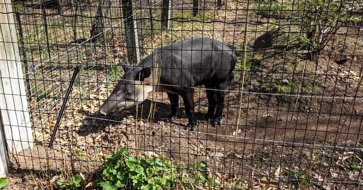 This Under-The-Radar New Jersey Zoo Makes For An Unforgettable Day Trip