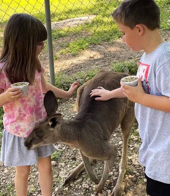 unique kentucky zoo world ftr
