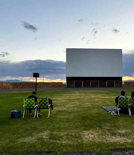 unique movie theater colorado ftr