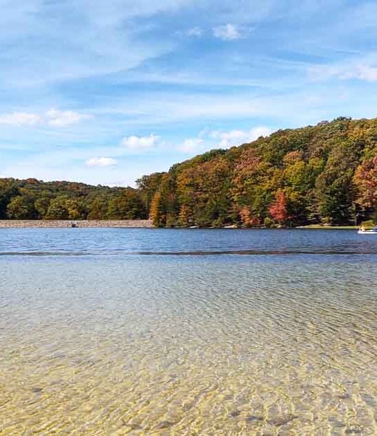 unreal maryland clear lake ftr