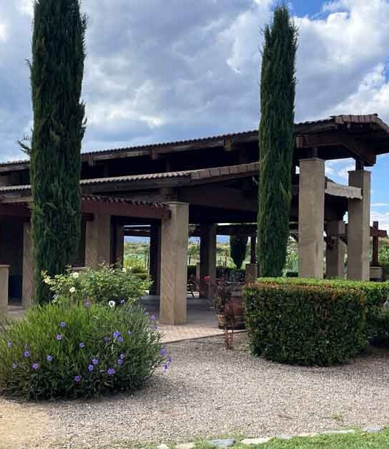 vine family winery arizona ftr