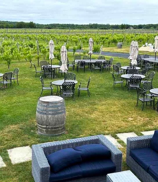 vineyards travel new york ftr