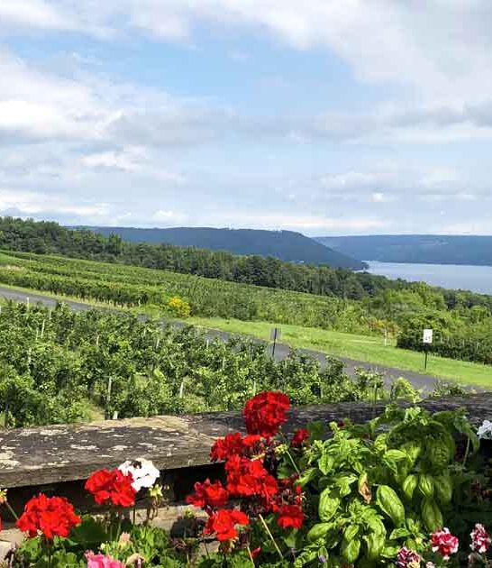 vineyards visit new york ftr