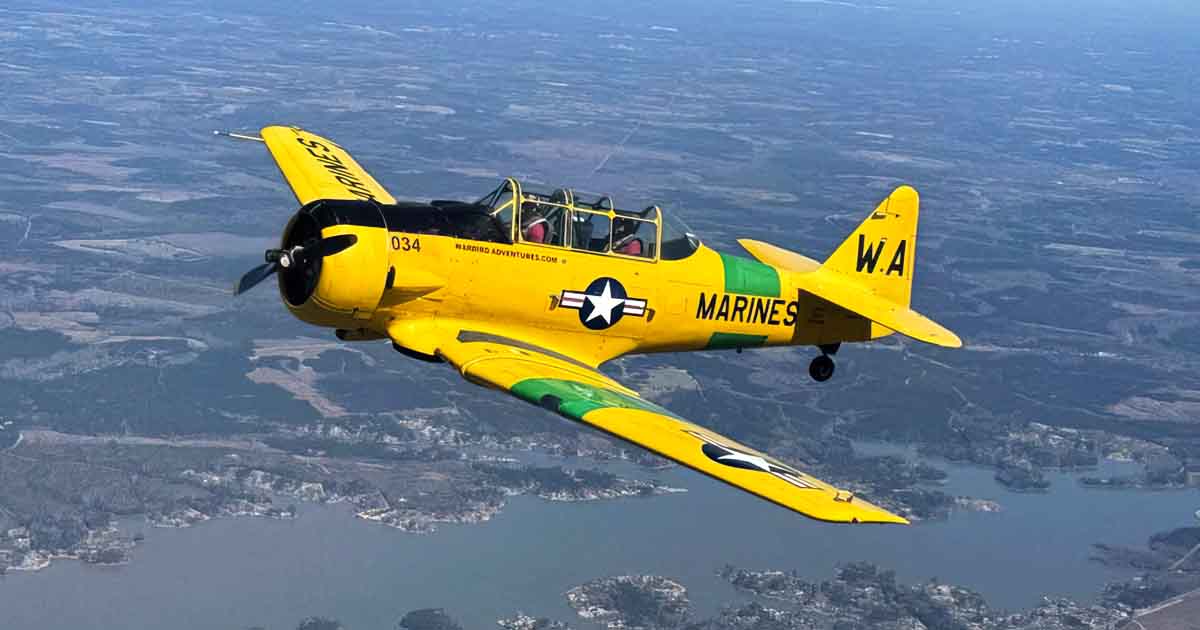 Take To The Skies In A Vintage WWII Plane For The Most Unforgettable ...
