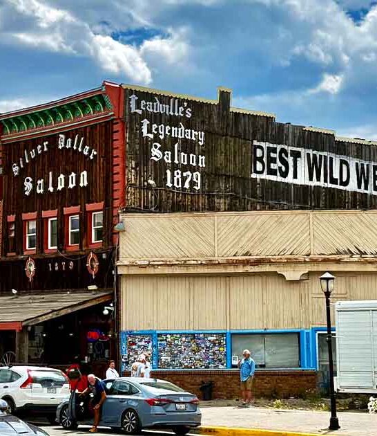 vintage restaurant experience colorado ftr