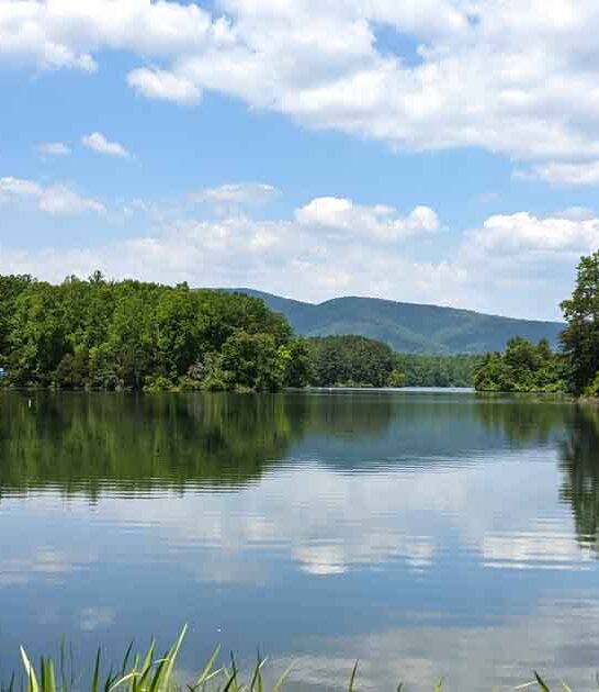 virginia lake adventure spot ftr