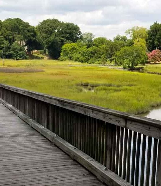 virginia park playscape kayaking ftr