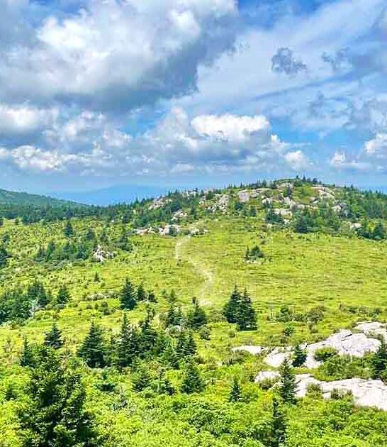 virginia state park serious ftr