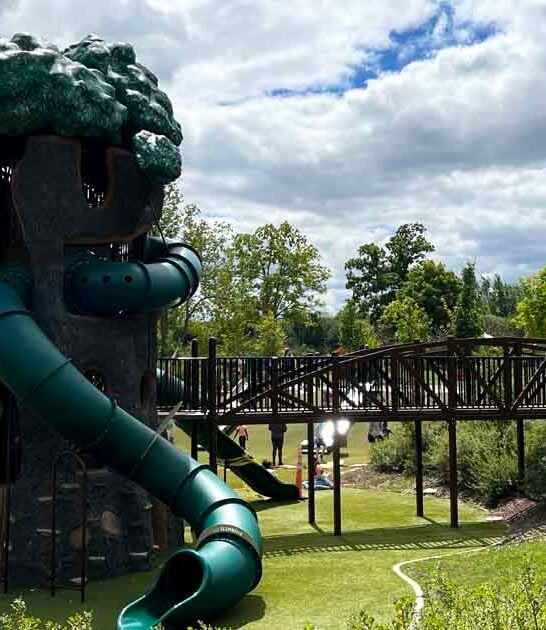visit largest michigan playground ftr