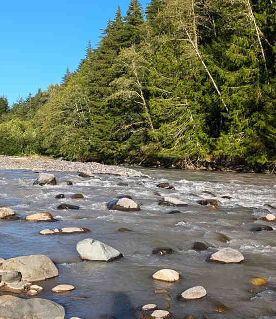 washington enchanting unbelievable park ftr
