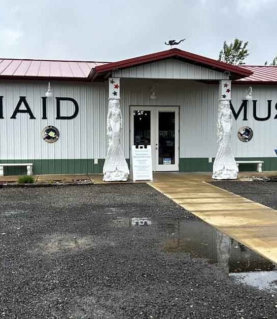 washington incredible mermaid museum ftr