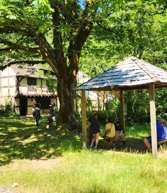 washington medieval ages village ftr