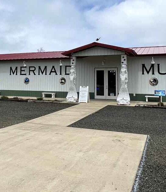 washington mermaid museum ftr