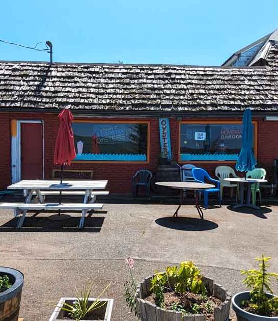 washington oysters tiny restaurant ftr