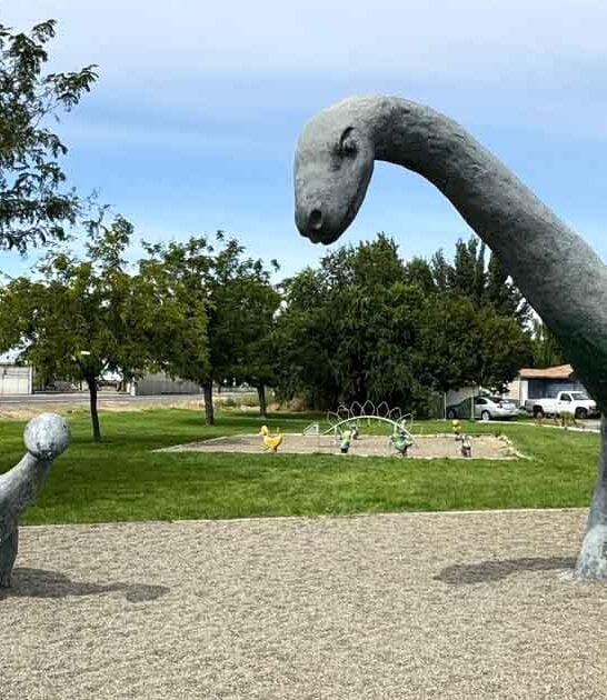 washington quirky dino park ftr