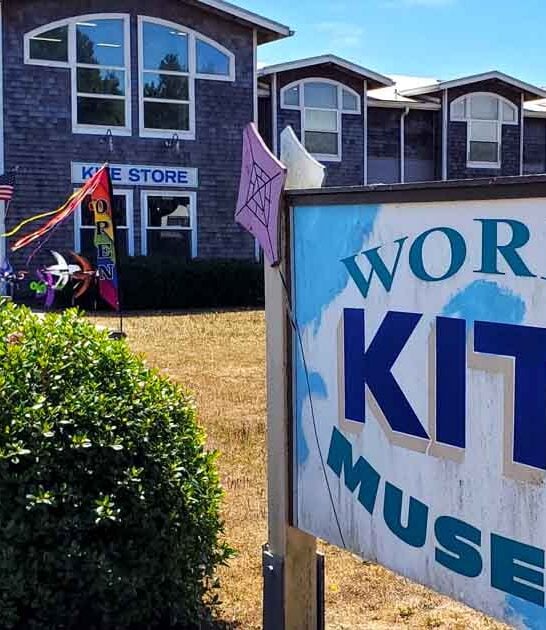 washington quirky kite museum ftr