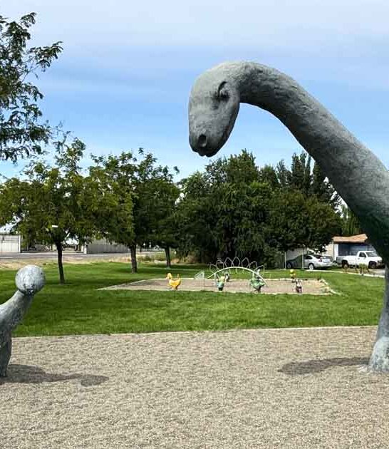 washington secret dino playground ftr