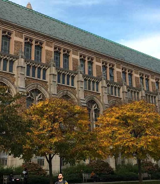 washington spellbinding library hogwarts ftr