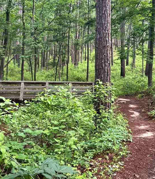 waterfall spring texas trail ftr