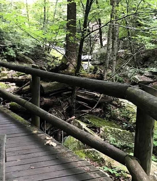 waterfalls unforgettable virginia trail ftr