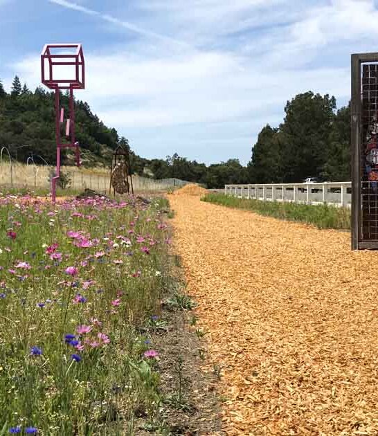 weird sculpture trail california ftr