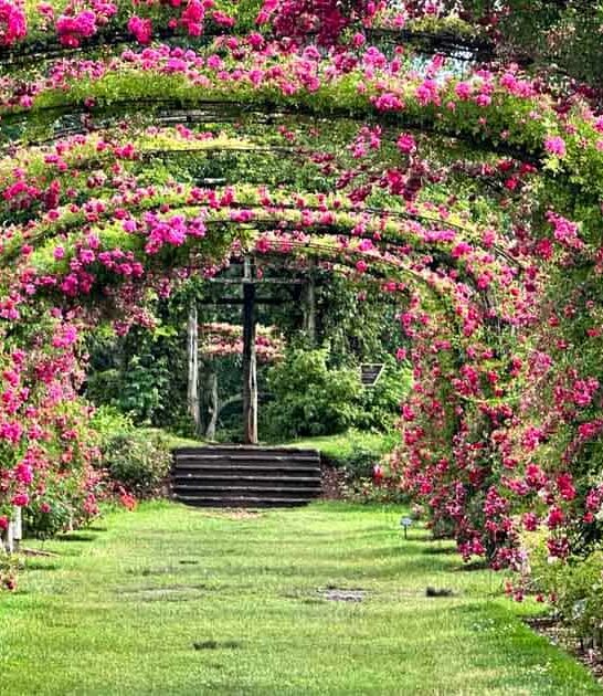 whimsical connecticut garden ftr