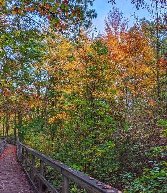 wildlife refuge new jersey ftr