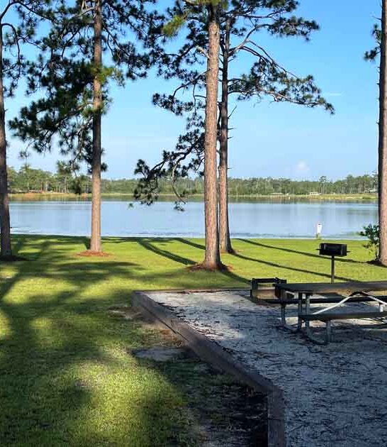 wildlife viewing park georgia ftr