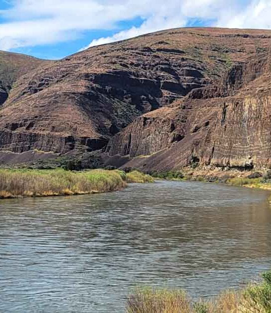 wildly underappreciated park oregon ftr