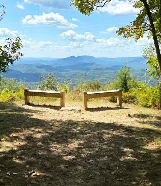 winding path virginia discover ftr