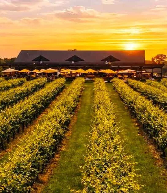 winery new jersey animals ftr