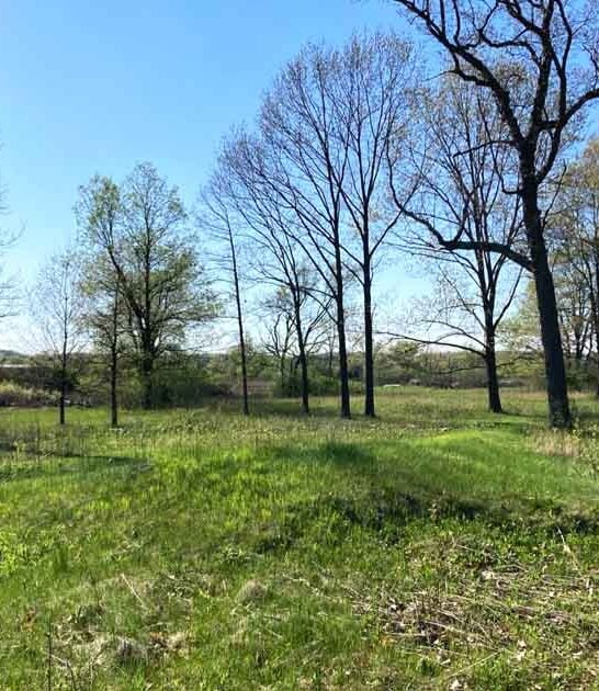 wisconsin park pure magic ftr