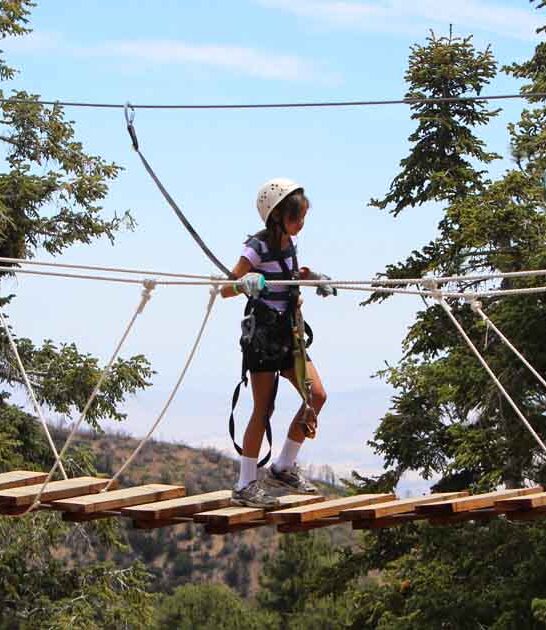 world magical treetop california ftr