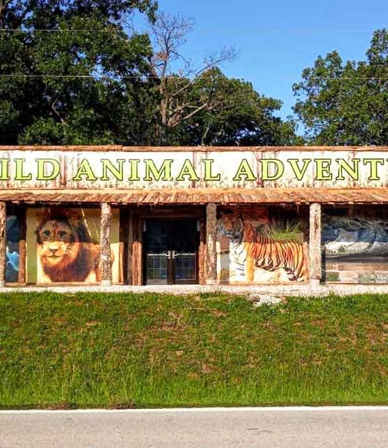 zoo family attraction missouri ftr