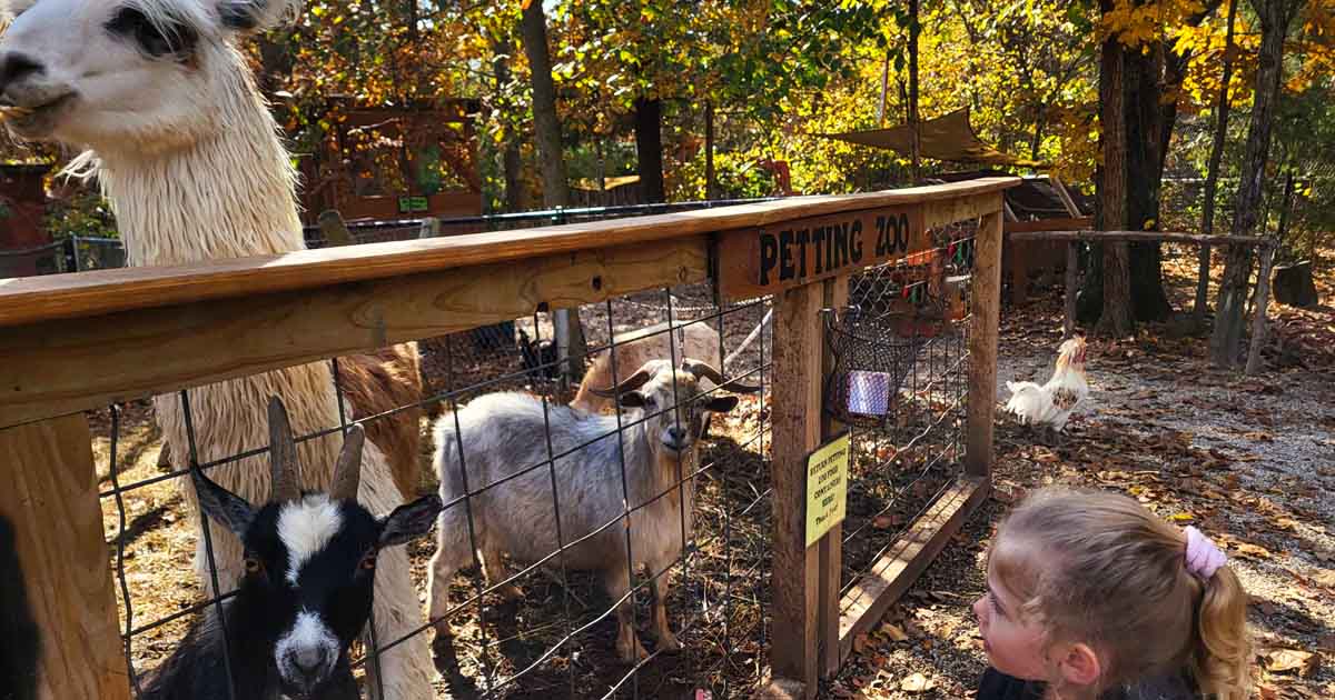 The Charming Missouri Zoo That Should Be On Every Family's Bucket List