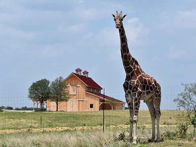 When your neighbor casually stands 16 feet tall and photobombs every outdoor shot, you know you're somewhere special.