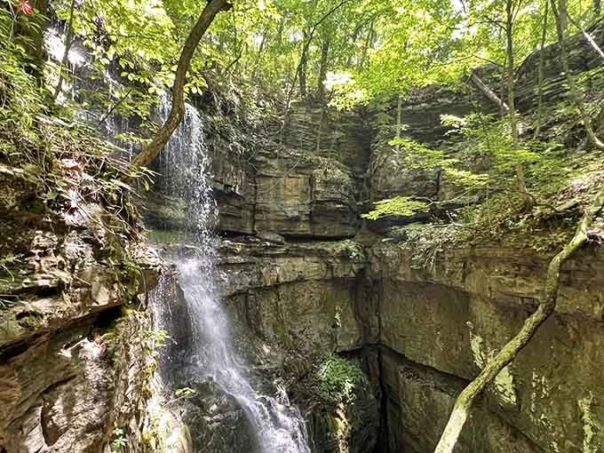 The sinkhole's natural amphitheater showcases water dancing down stone steps that geology spent eons choreographing perfectly.
