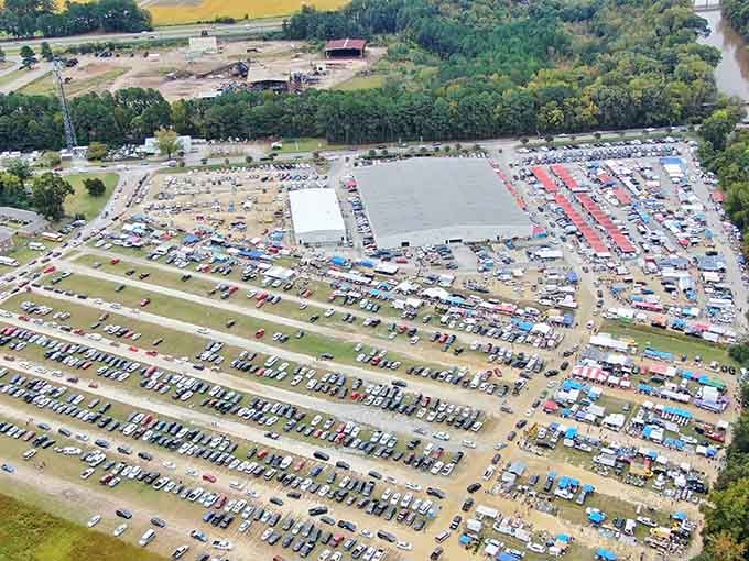 From above, this treasure-hunting paradise looks like someone organized happiness into neat rows and invited everyone to explore.