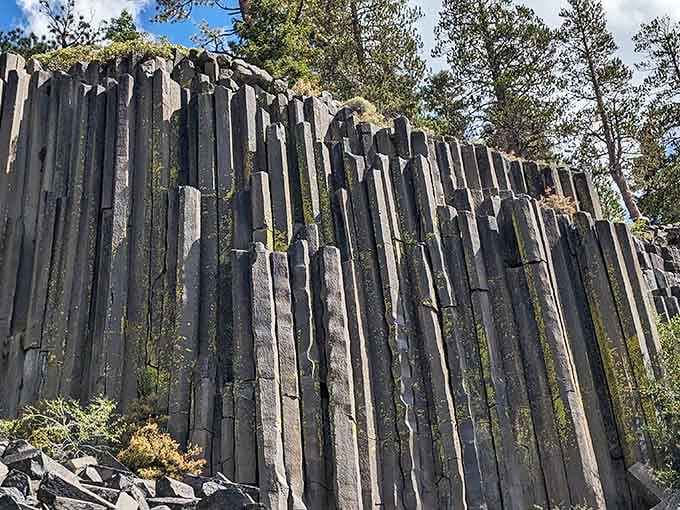 These towering basalt columns stand like nature's own cathedral, proof that lava has better design sense than most architects.